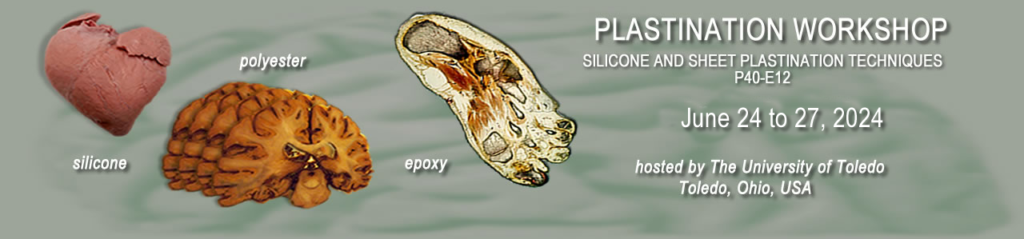 The International Society For Plastination