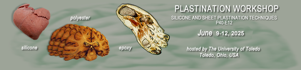 The International Society For Plastination